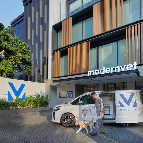 modernvet | Rumah Sakit Hewan Terdepan di Jakarta untuk Perawatan Berkualitas